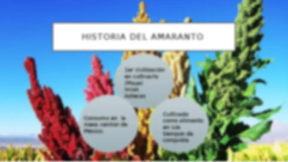 Propiedades nutrimentales del amaranto | Diapositivas de Derecho | Docsity