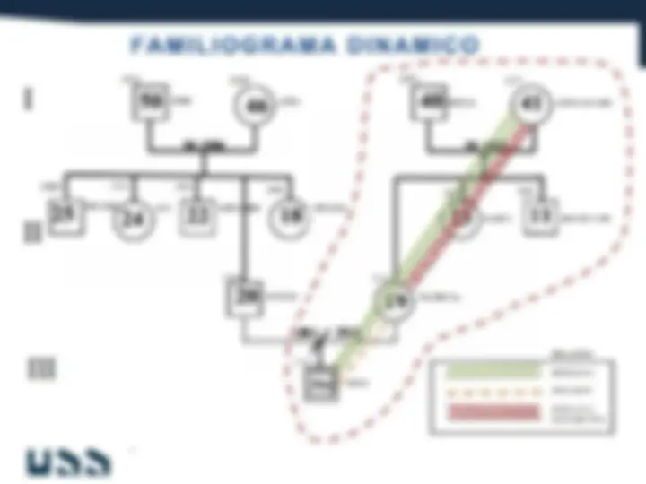 Instrumentos para valoración familiar | Diapositivas de Salud Pública | Docsity