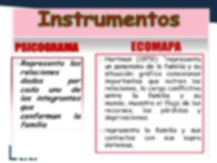 Instrumentos para valoración familiar | Diapositivas de Salud Pública | Docsity