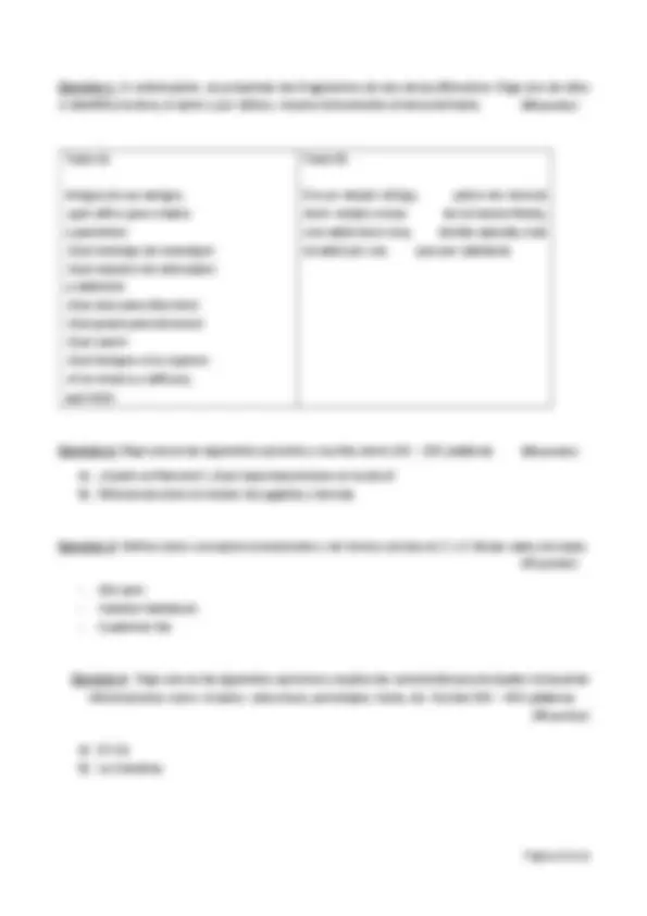 Spanish 1st year exam University of Malta | Exams Spanish Language ...