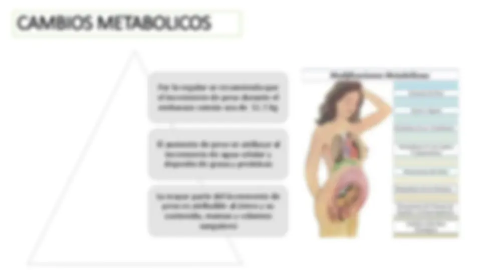 Cambios Fisiológicos en el Embarazo: Modificaciones en el Cuerpo Materno | Esquemas y mapas ...