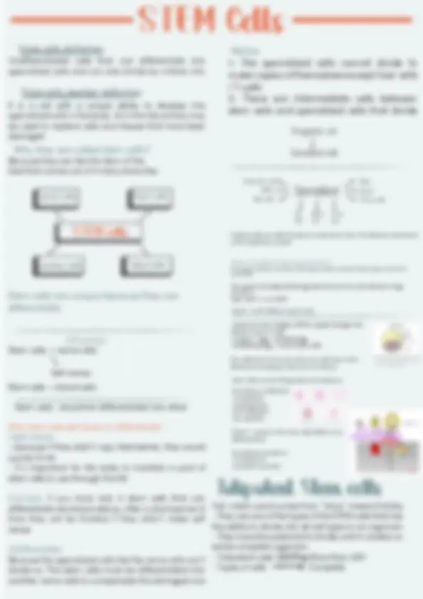 STEM Cells Biology Summary | Schemes and Mind Maps Biology | Docsity