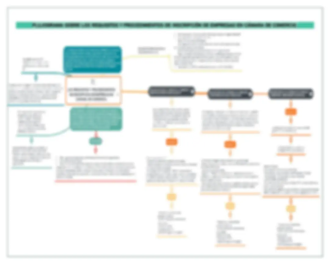 INFORME DESCRIPTIVO Y FLUJOGRAMA SOBRE LOS REQUISITOS Y PROCEDIMIENTOS DE INSCRIPCIÓN DE ...