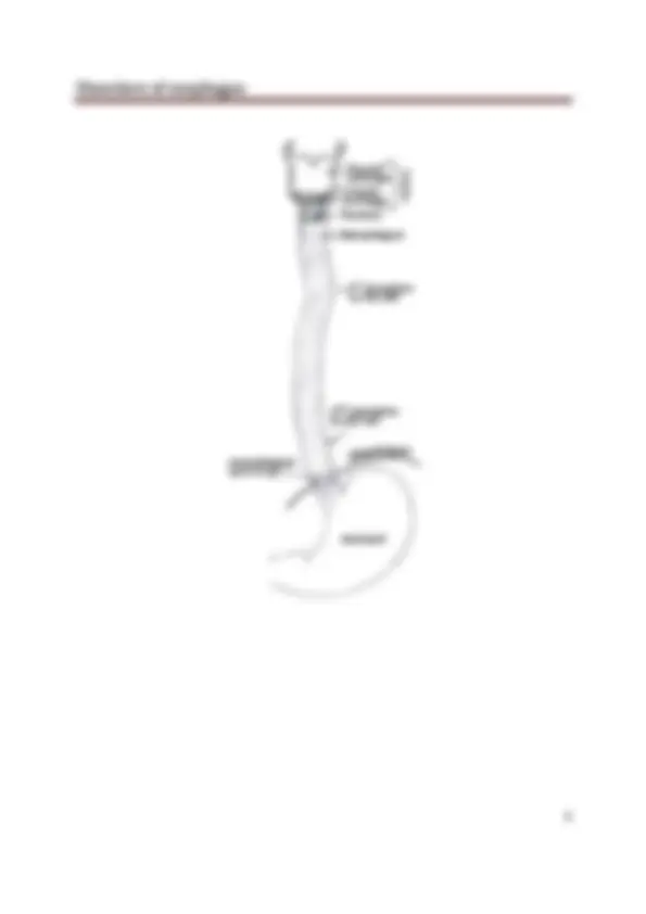 Disorders of esophagus | Study Guides, Projects, Research Medical ...