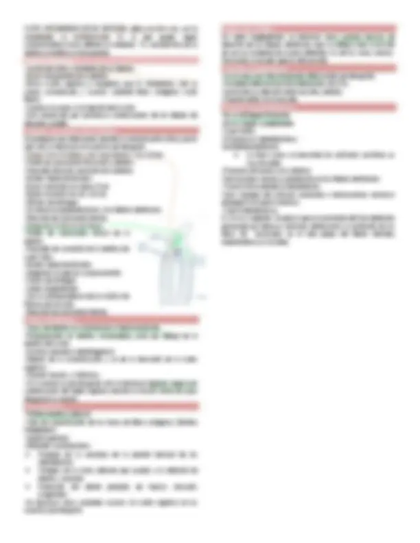 Dentina histológicamente | Resúmenes de Histología | Docsity