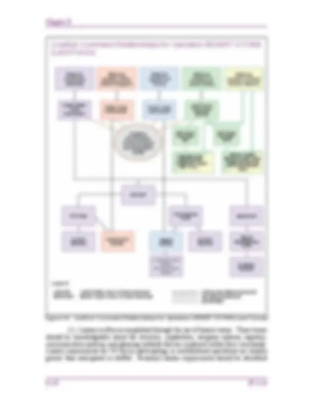 JP 3-16, Multinational Operations | Exercises Law | Docsity