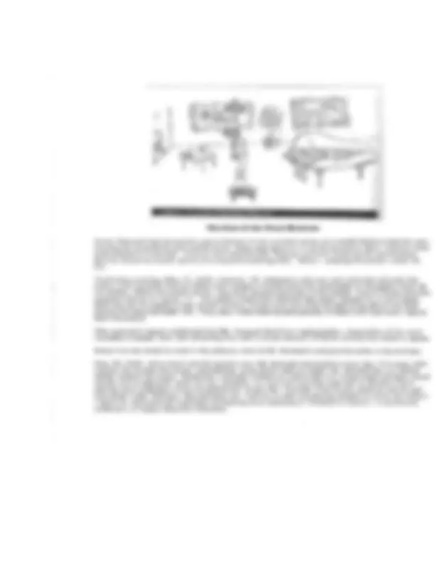 Cite strong and thorough textual evidence to support analysis | Lecture ...