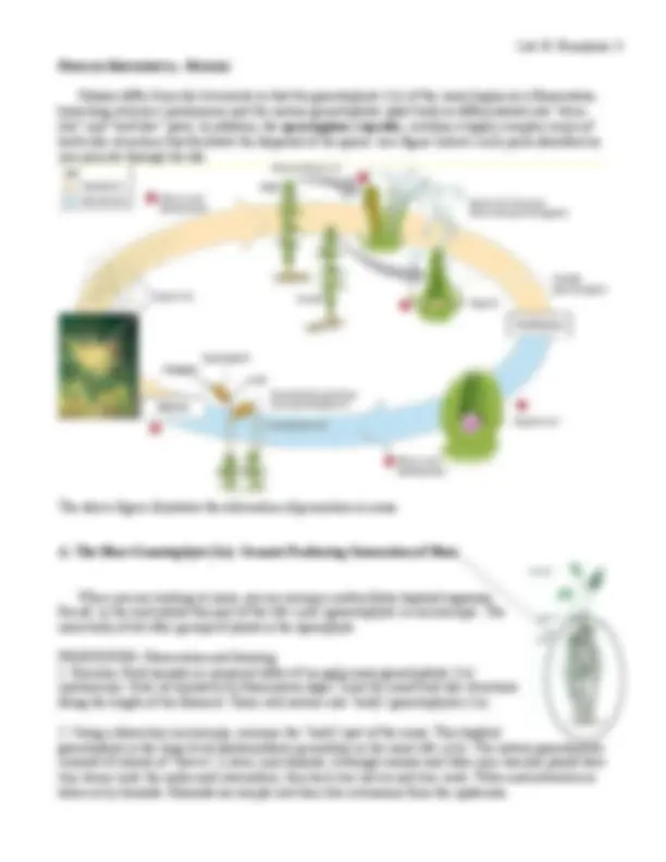 Lab 10:NONVASCULAR PLANTS: (Bryophytes) | Exercises Anatomy | Docsity