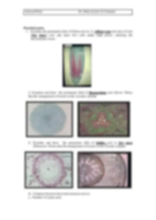 5- The Root Herbaceous Monocot Roots Herbaceous Dicot ... | Lecture ...