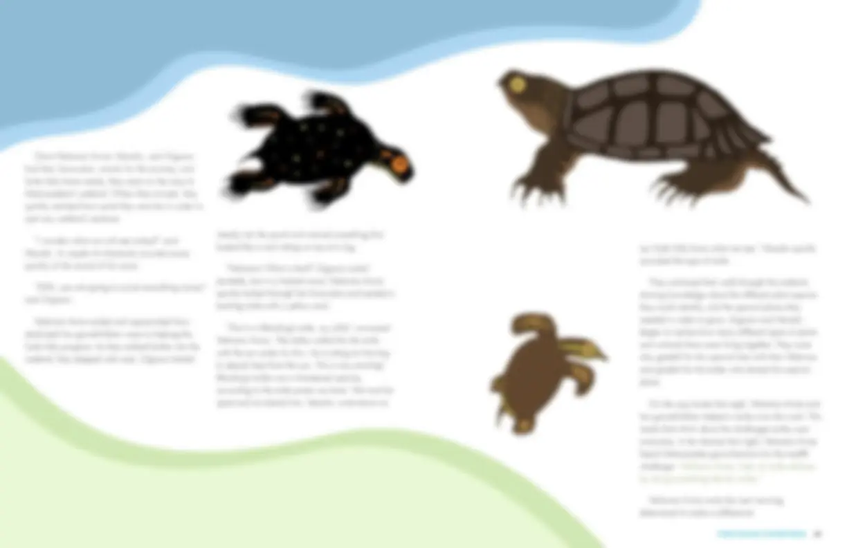 TURTLE TALLY | Slides Voice | Docsity