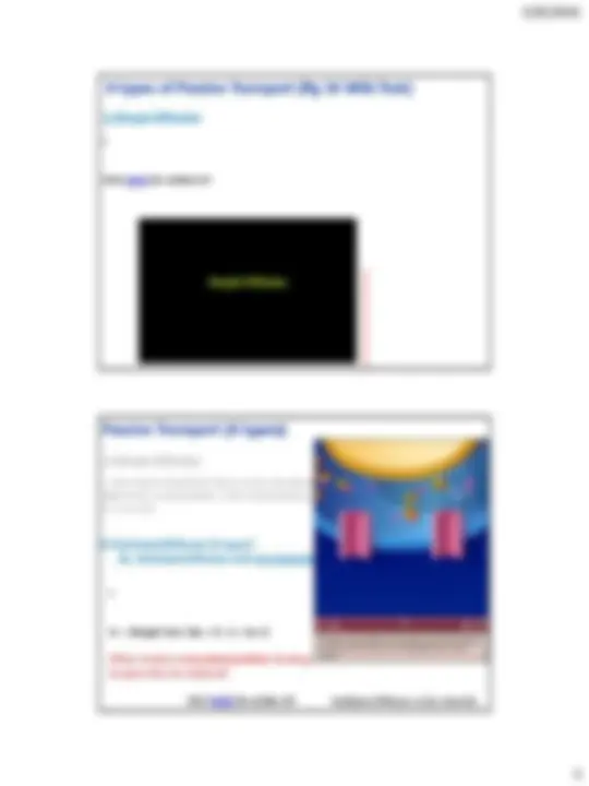 Ch. 6: Cells & Environment | Schemes and Mind Maps Cell Biology | Docsity
