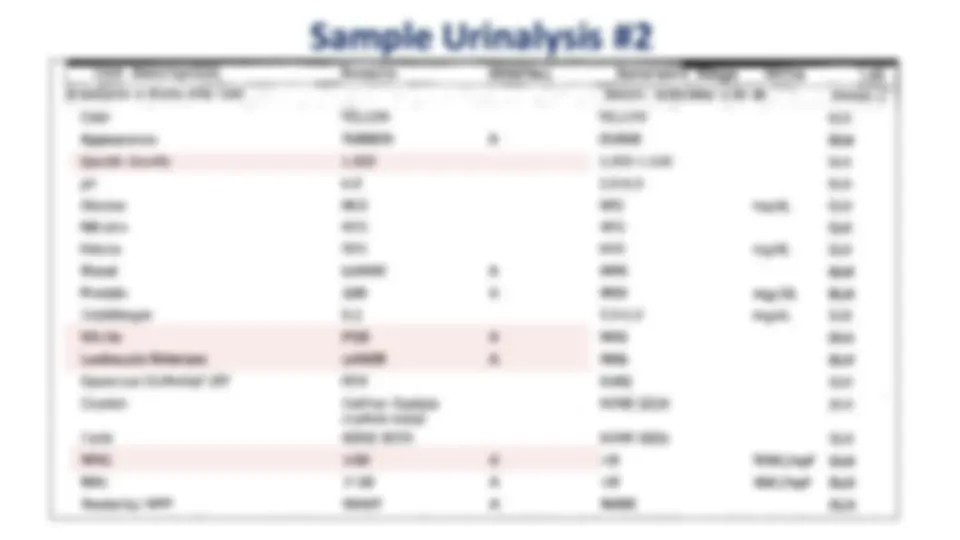03b-Interpreting-Urinalysis-and-Urine-Culture.pdf | Study notes ...