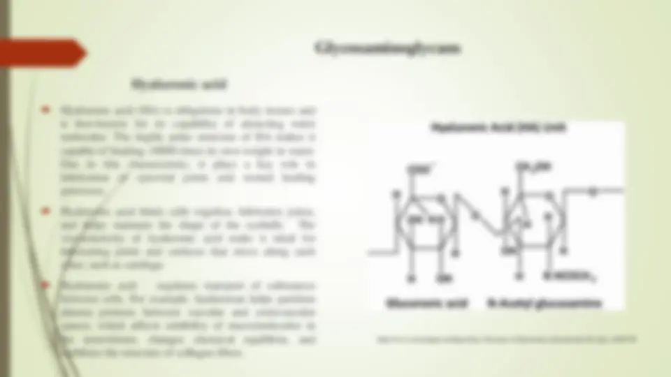 Carbohydrates. Structure and functions of di | Slides Bioorganic ...