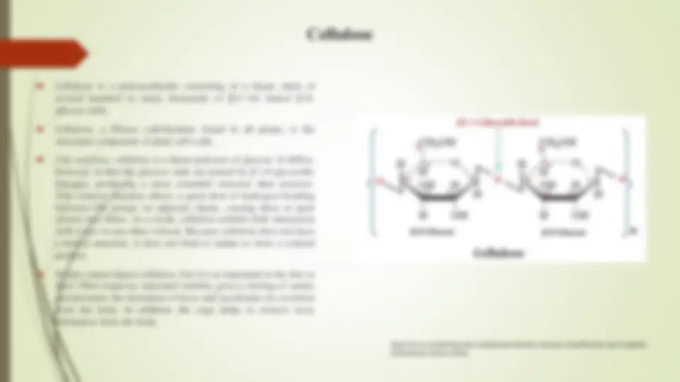 Carbohydrates. Structure and functions of di | Slides Bioorganic ...