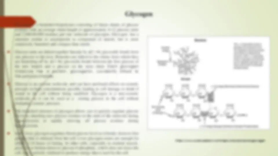 Carbohydrates. Structure and functions of di | Slides Bioorganic ...
