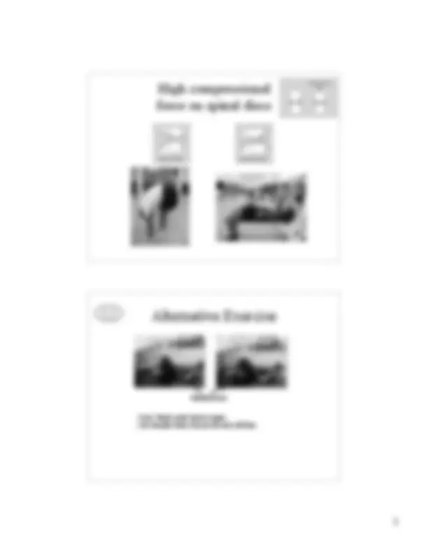 Contraindicated and High-Risk Exercises | Lecture notes Physiology ...