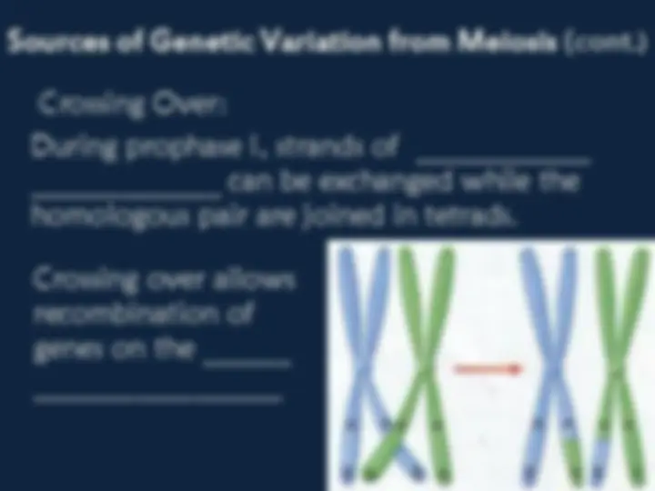 Genetic Variation from Meiosis | Summaries Genetics | Docsity
