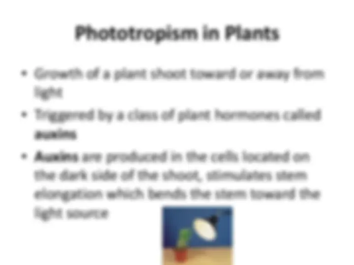 Responses to External Environments | Summaries Theory of Evolution ...