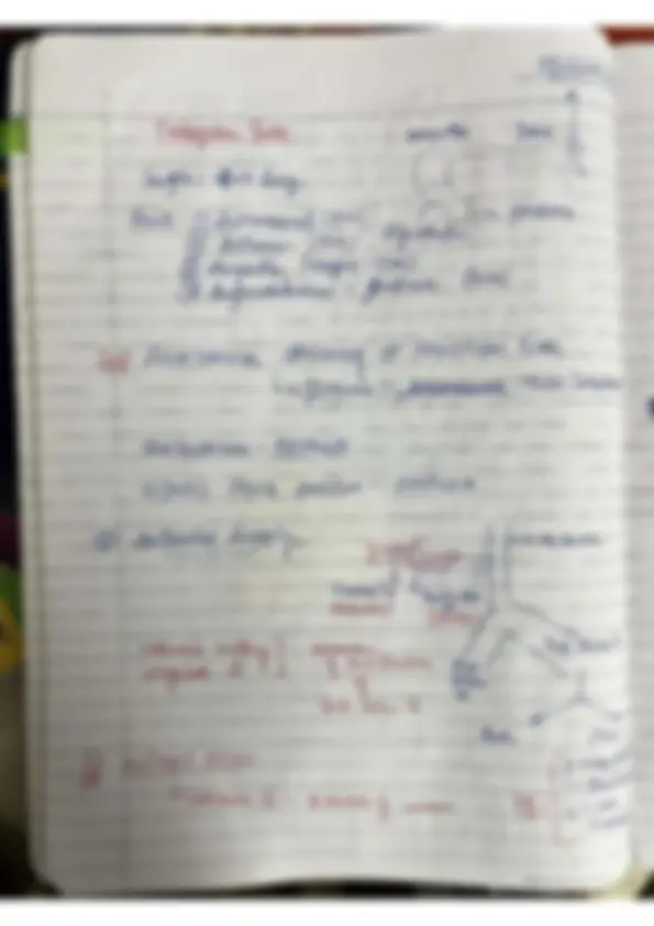 Female genital tract anatomy | Schemes and Mind Maps Gynecology | Docsity