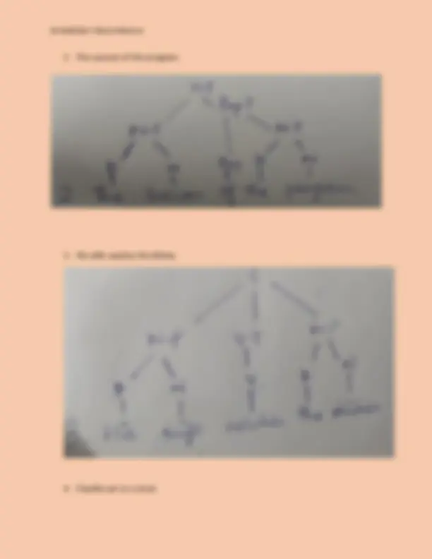sentence structure analysis | Exercises Linguistics | Docsity