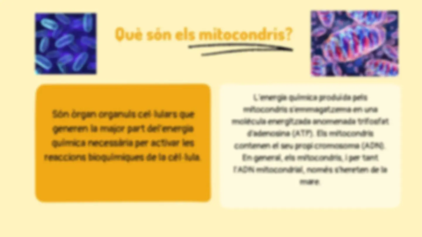 enfermedades mitocondriales | Diapositivas de Biología | Docsity