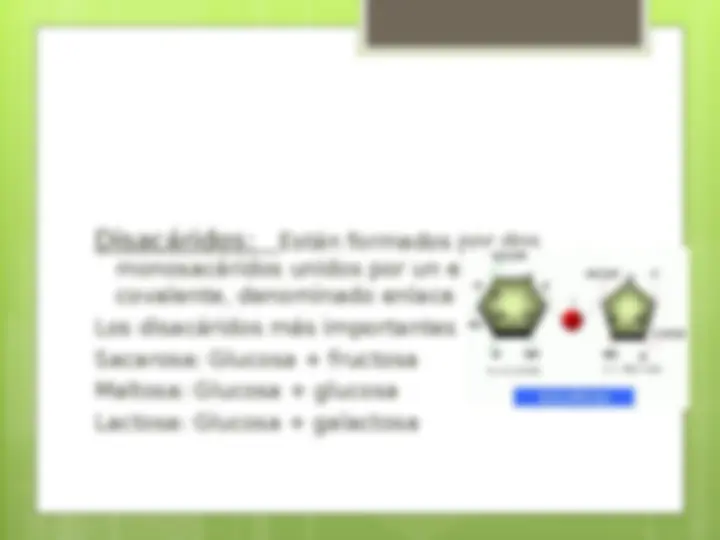 Biomoléculas: Un Viaje por lo Orgánico e Inorgánico | Diapositivas de ...
