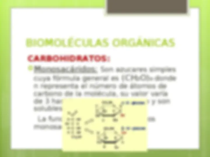 Biomoléculas: Un Viaje por lo Orgánico e Inorgánico | Diapositivas de ...