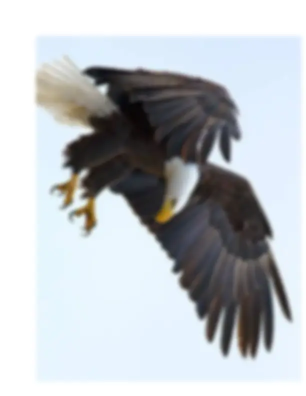 Animal examples of adaptation | Exercises Earth science | Docsity