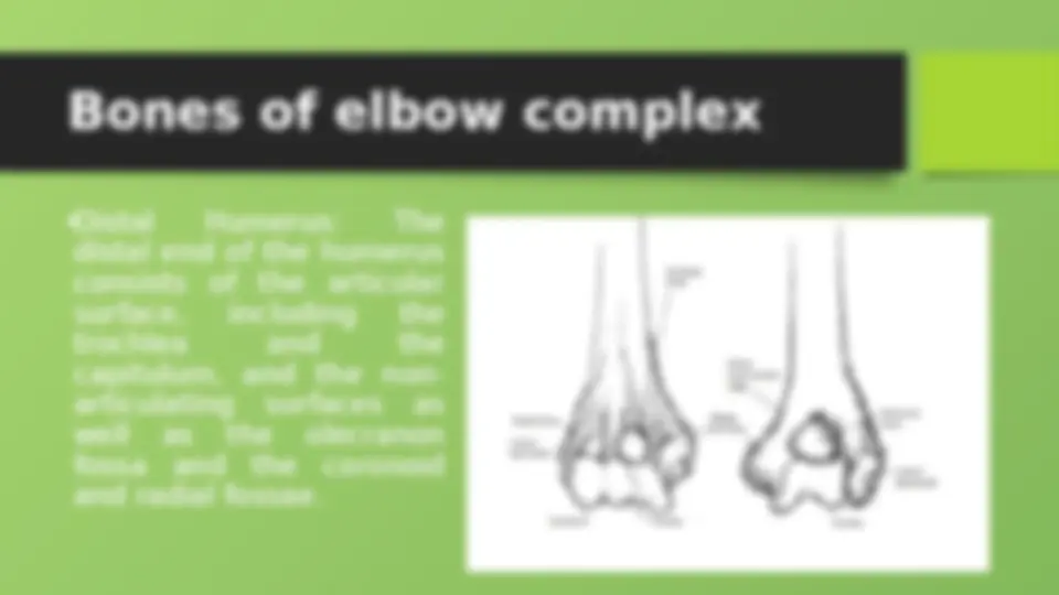 Elbow complex explanation | Cheat Sheet Anatomy | Docsity