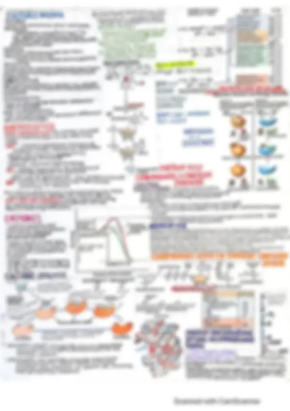 Microbiology Final Notes | Study notes Microbiology | Docsity