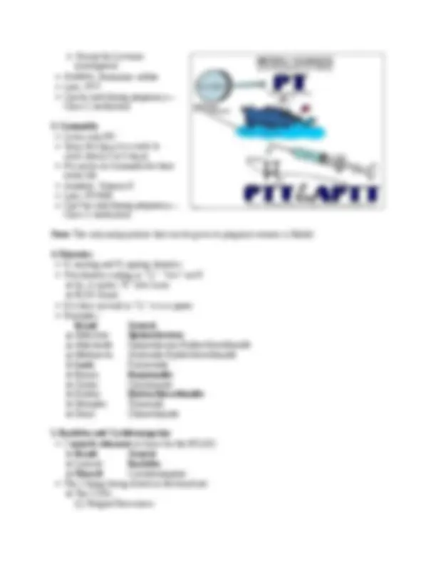 Mark Klimek Lectures 1 to 12 Complete Study Guide a guide 2023 | Exams ...