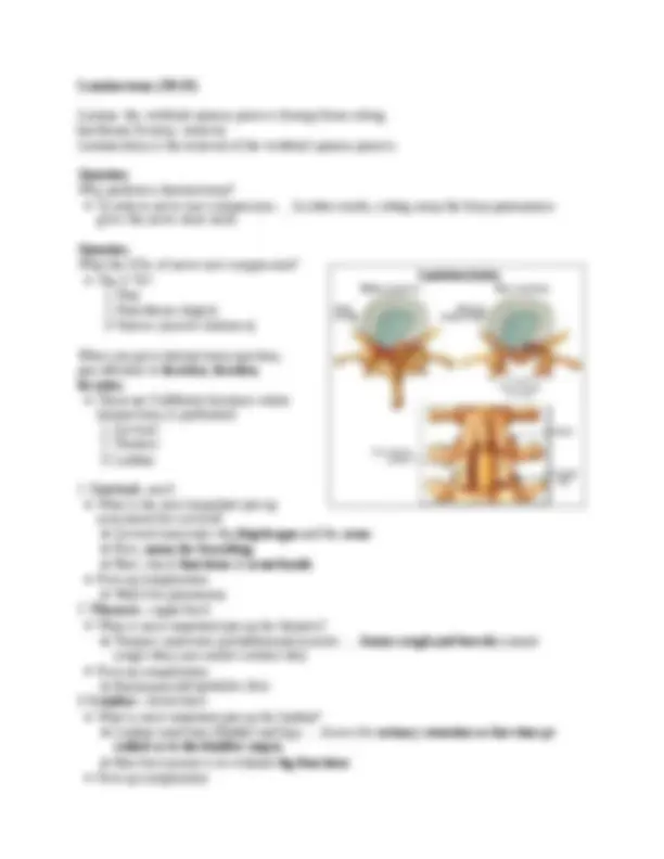 Mark Klimek Lectures 1 to 12 Complete Study Guide a guide 2023 | Exams ...