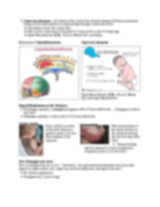 Mark Klimek Lectures 1 to 12 Complete Study Guide a guide 2023 | Exams ...