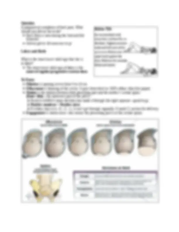 Mark Klimek Lectures 1 to 12 Complete Study Guide a guide 2023 | Exams ...