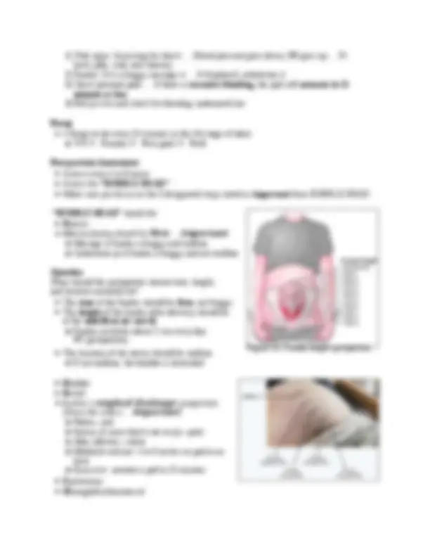 Mark Klimek Lectures 1 to 12 Complete Study Guide a guide 2023 | Exams ...