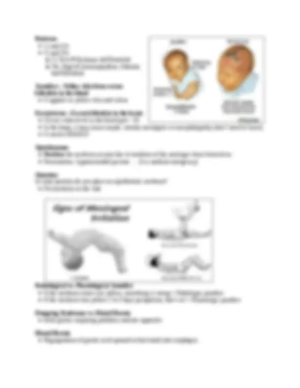 Mark Klimek Lectures 1 to 12 Complete Study Guide a guide 2023 | Exams ...