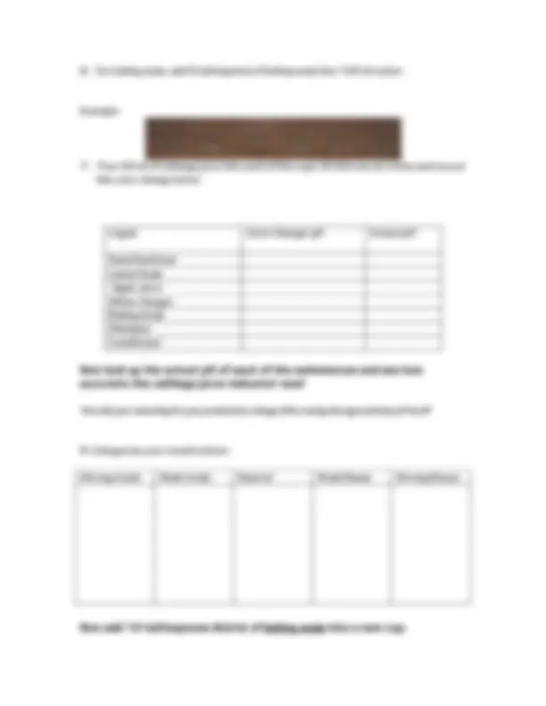 Red Cabbage Lab: Acids and Bases Introduction: Liquids to Test | Study ...