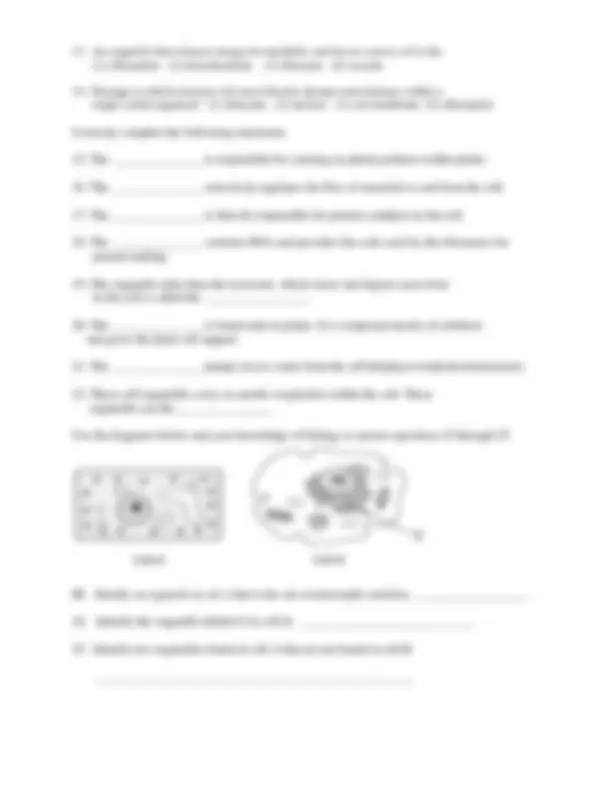 Biology Cell Worksheet #2 | Exams Cell Biology | Docsity