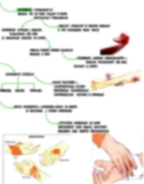 Schemi sul primo soccorso, traumatologia, ferite e ustioni, shock ed ...