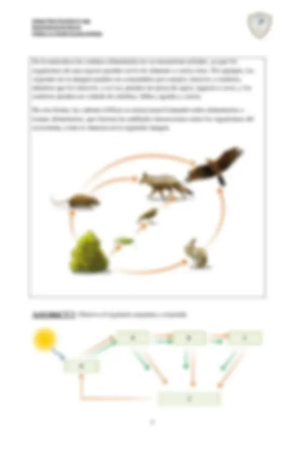 Guía de Ciencias Naturales: Flujo de Energía en el Ecosistema ...