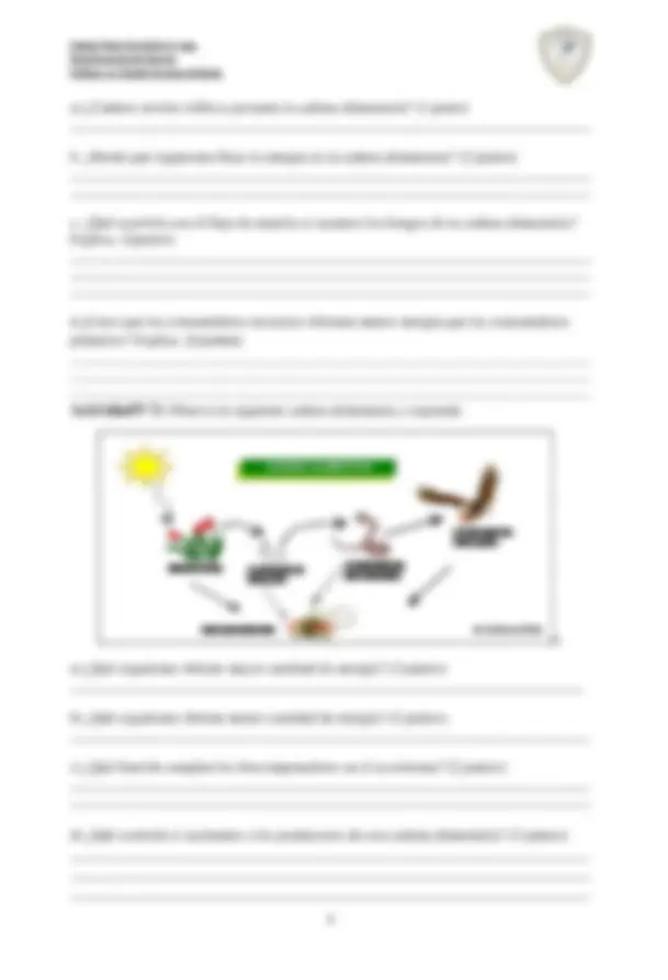 Guía de Ciencias Naturales: Flujo de Energía en el Ecosistema ...