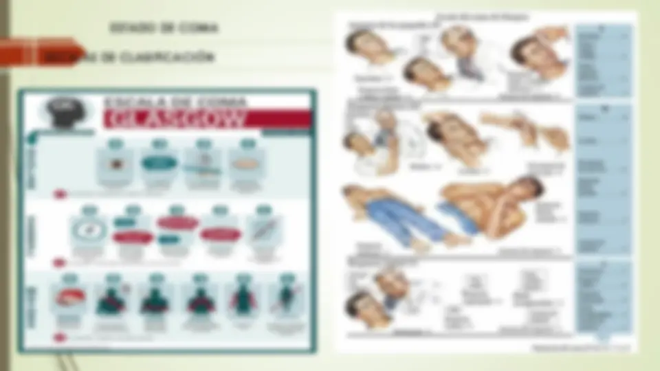 paciente comatoso resumen | Resúmenes de Derecho | Docsity