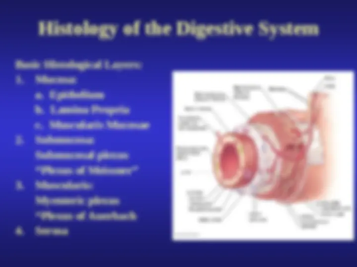medical histology short notes | Lecture notes Medical Sciences | Docsity