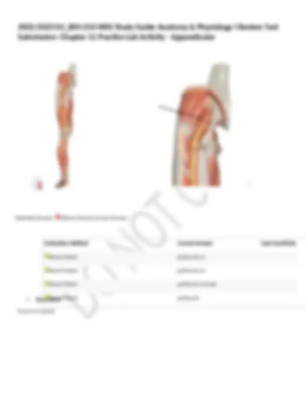 2022/2023 SU_BIO-210-W02 Study Guide Anatomy & Physiology I Review Test ...