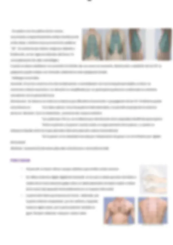 Semiologia Respiratoria Completa | Resúmenes de Semiología | Docsity