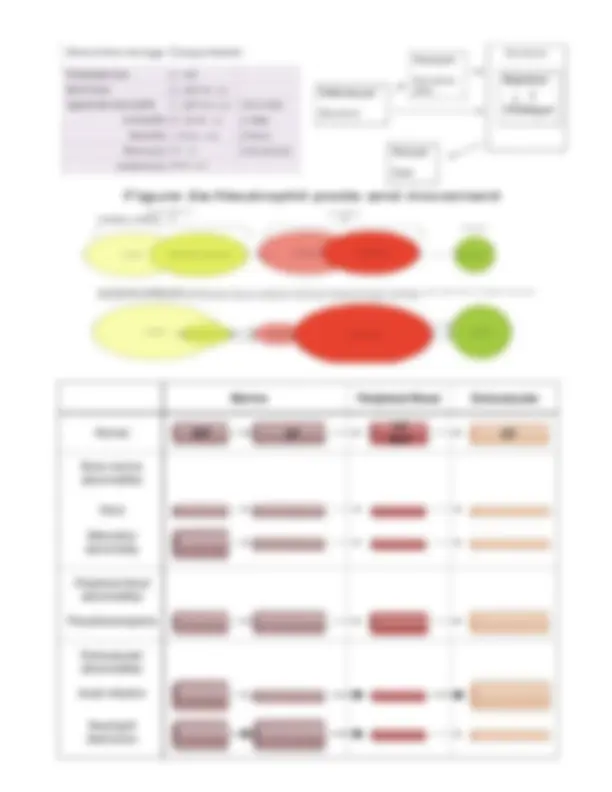 WBC Maturation Series | Study notes Hematology | Docsity