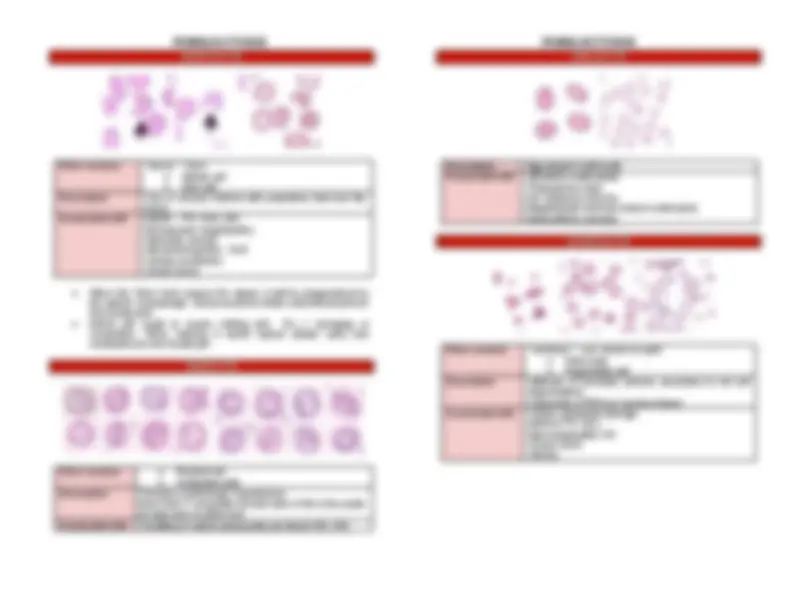 Different Types of Poikilocytosis and Other RBC Inclusion Bodies ...