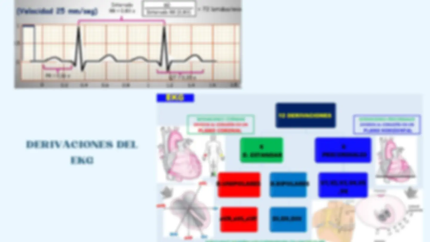 ELECTROCARDIOGRAMA(EKG)DEFINICION,COMPONENTES Y DERIVACIONES ...