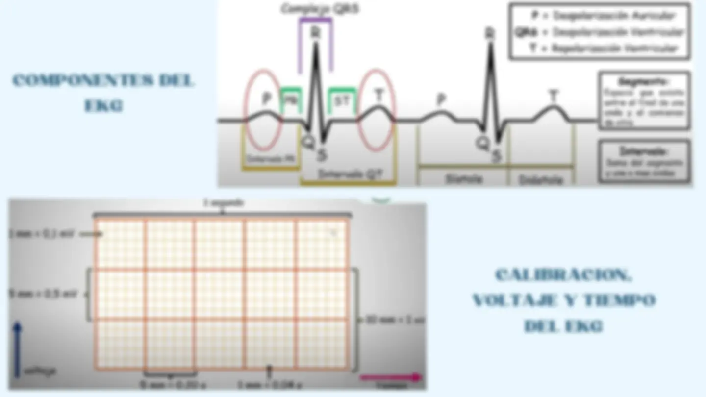 ELECTROCARDIOGRAMA(EKG)DEFINICION,COMPONENTES Y DERIVACIONES ...