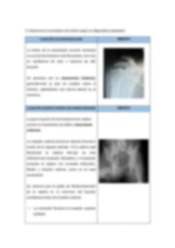 lesiones traumatológicas | Apuntes de Traumatología | Docsity